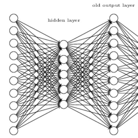 Neural Network Representations Learned By A Model Using Download