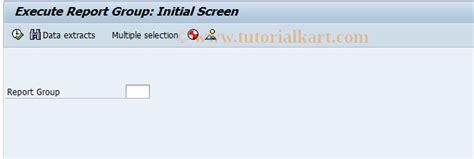 Gr55 Sap Tcode Execute Report Group