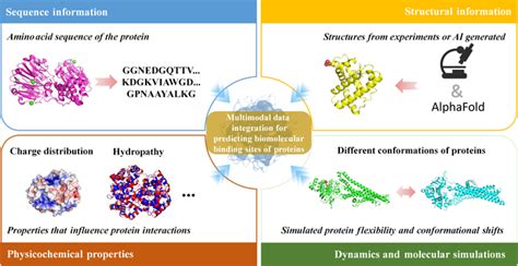 Deep Learning For Predicting Biomolecular Binding Sites Of Proteins Research
