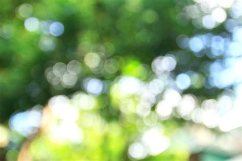 Premium Photo Green Bokeh Abstract Background And Texture