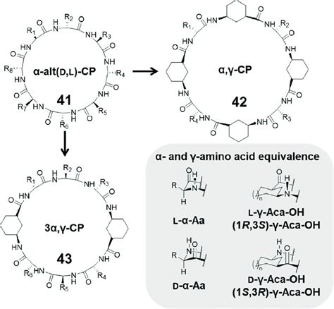 Schematic Representation Showing The Design Of Cyclic αγ Peptide 42
