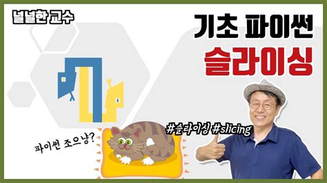144 슬라이싱널널한 교수의 기초 파이썬 Ft 파이썬 코딩 Youtube 144 슬라이싱널널한 교수의 기초 파이썬 Ft 파이썬 코딩 Youtube