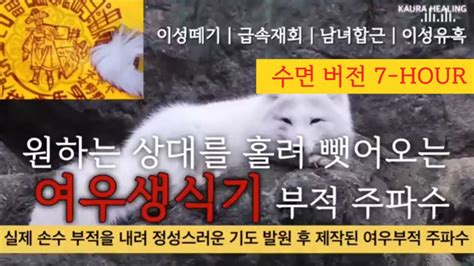 👑왕과의 동침 신분상승을 위해 궁녀들이 사용한 여우부적 주파수 원하는 상대와 급속 재회 남자를 홀리는 비방술 암여우 생식기 부적 추출 주파수 Youtube