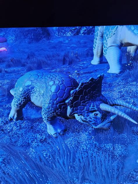 Dino R Nomansskythegame