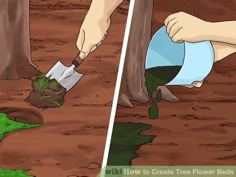 Ways To Create Tree Flower Beds WikiHow Flower Beds Flowers Tree
