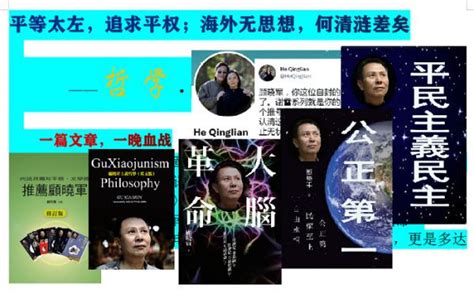 平等太左追求平权海外无思想何清涟差矣 老顾的新博客 万维论坛