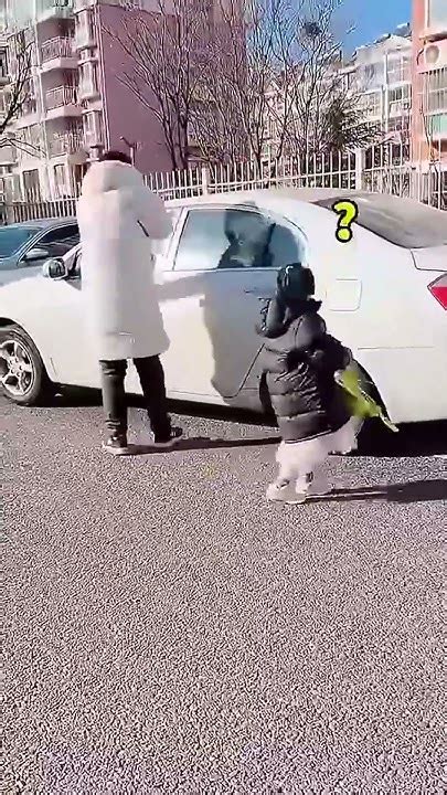 爸爸帶娃不靠譜！送女孩上學，咋閨女沒上車自己走了！ 嘟嘟小可耐萌娃日常二胎生活嘟嘟的卑微生活萌娃搞笑視頻二胎爸爸帶娃娃