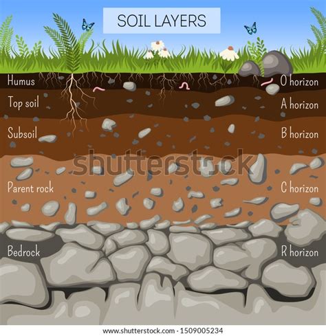 2 878 Soil Profile Images Stock Photos Vectors Shutterstock