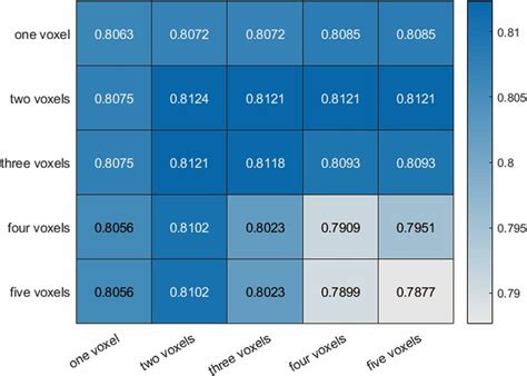Dice Ratio With Different Mapping Voxel Scales Dice Ratio Calculated Download Scientific