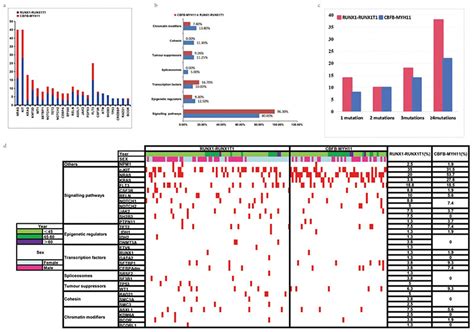 Comprehensive Mutation Profile In Acute Myeloid Leukemia Patients With Runx1 Runx1t1 Or Cbfb