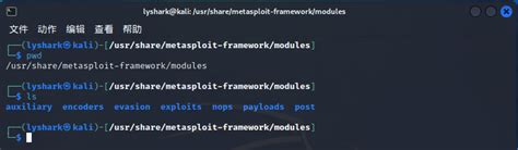 1 1 Metasploit 工具简介 Csdn博客