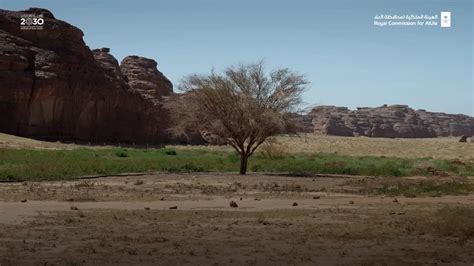 Abdul Haleem Khan On Linkedin Wish To Work Where Dreams Come True