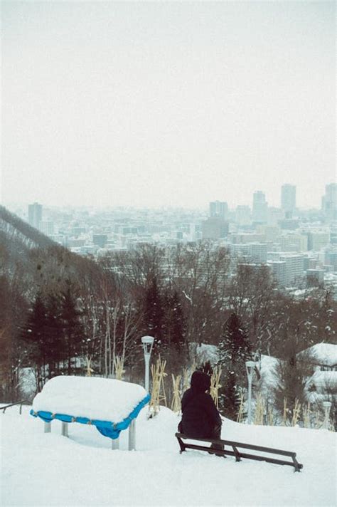 감기 겨울 겨울 추위 겨울철의 경치 경치 좋은 전망 계절 고독 고요한 공원 나무 냉담한 높은 경치 눈 눈 내리는 눈이 덮인 니세코 도시 공원
