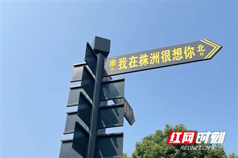 视频丨株洲街头现网红路牌 你“打卡”过吗株洲湖南频道红网