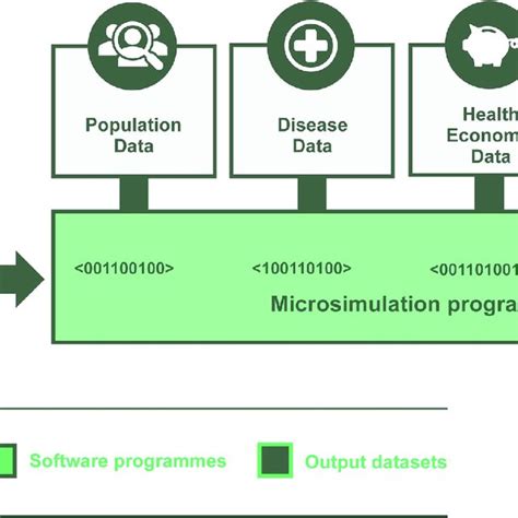 Overview Of The Microsimulation Model Download Scientific Diagram