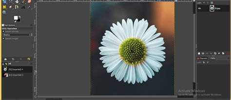 GIMP Replace Color Learn How To Replace Color In GIMP