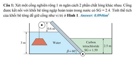 Câu Xét m t c ng nghiên r ng m ng n cách ph n ch t l ng khác nhau C ng c k t n i v i