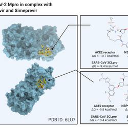 Simtk Opensim Bicycle Model Project Home