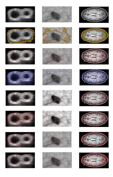 image segmentation results of real images top row input images