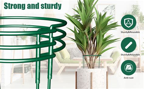 Kiyonddec Plant Support Stakes 6 Pack 32 Inch Garden Stakes Plant Stakes For