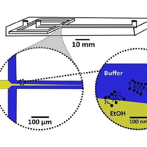 graphical depiction of the microfluidic platform used to generate