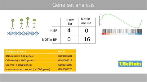 Gene Set Analysis Comparison At Tashia Rogers Blog