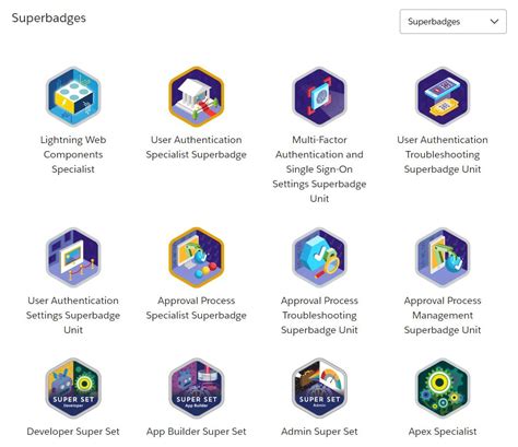 Aayush Bisani On Linkedin Trailhead Superbadge Trailblazer Salesforce Ranger Salesforceadmin