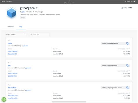 Container Registry Show Image Hash · Issue 21160 · Go Giteagitea · Github