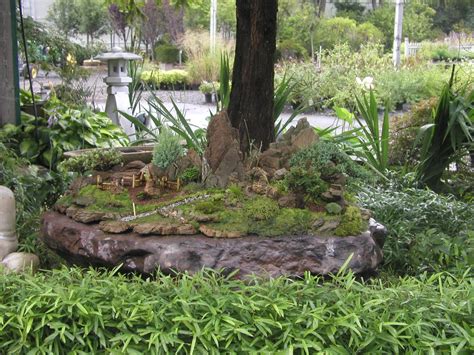 Coco Pit For Rooftop Garden R Gardening