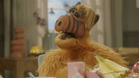 Alf Reboot Ryan Reynolds Revives Character With Sponsored Content
