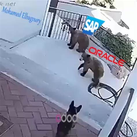 Arockia Raj Posted On Linkedin