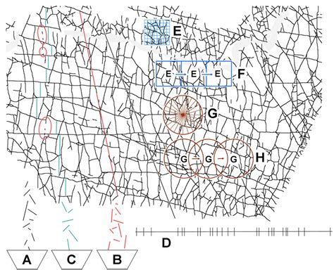 Different Types Of Quantification Of A Fracture Pattern By