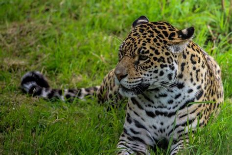 Springboot2x之整合springmvc的cors跨域访问处理 知乎