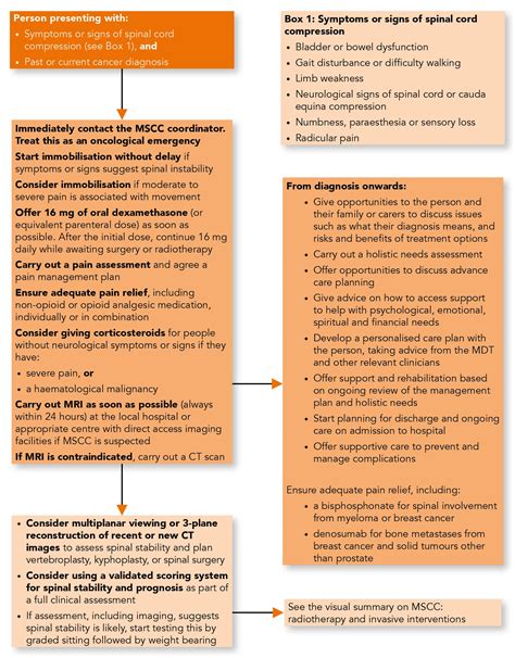Spinal Cord Compression