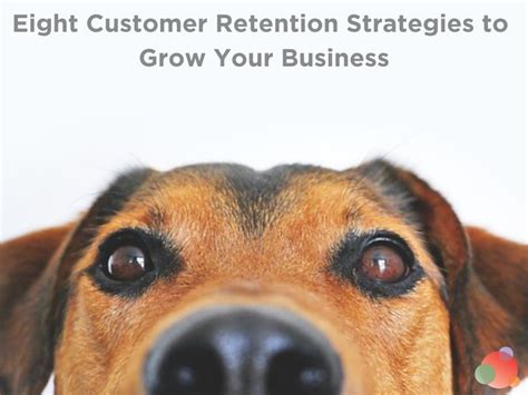 Eight Customer Retention Strategies To Grow Your Business Spin Sucks