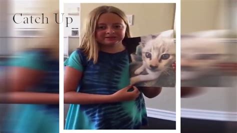 Τα Πιο Αστεια Βιντεο Με Γατες Αστεια Βιντεο Με Γατακια Youtube