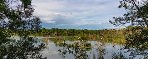 Spatial Conservation Planning Audubon
