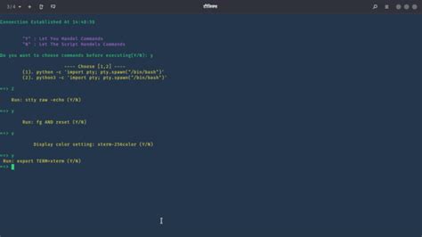 New Python Script Netx Intrective Shell Technical Navigator