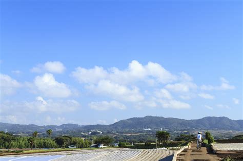 農地農園を土地活用できる活用方法の種類と注意点 不動産の教科書