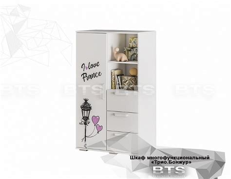 Купить Шкаф ШК 10 Бонжур в Краснодаре МебельПик