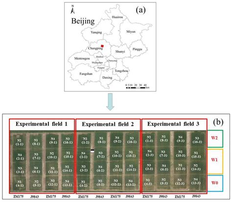 Remote Sensing Free Full Text Comparison Of Winter Wheat Yield Estimation Based On Near