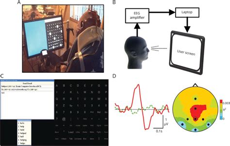Bci System And Its Operation Download Scientific Diagram