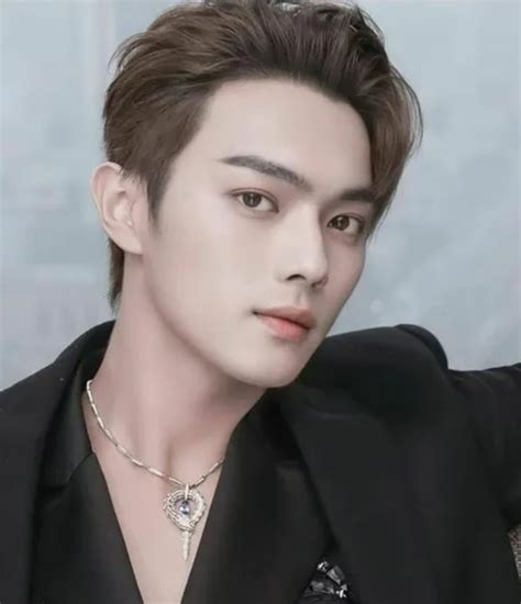 شوکای بازیگر چینی عکس ویسگون