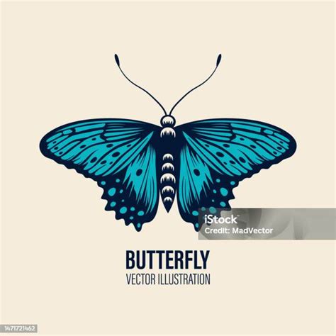 벡터 손으로 그린 나비 아이콘 근접 촬영은 흰색 배경에 격리되어 있습니다 나비 디자인 서식 파일 로고에 대 한 개요와 나비의