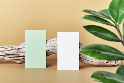 흰색 과 녹색 종이 명함 모형 베이지 색 배경에 자연스러운 유목과 흐린 녹색 잎 0명에 대한 스톡 사진 및 기타 이미지 0명 개념 개인 장식품 Istock