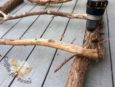 Make A Rustic Trellis For Annual Vines Coffee For Roses