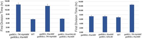 Figures And Data In Ongoing Resolution Of Duplicate Gene Functions Shapes The Diversification Of