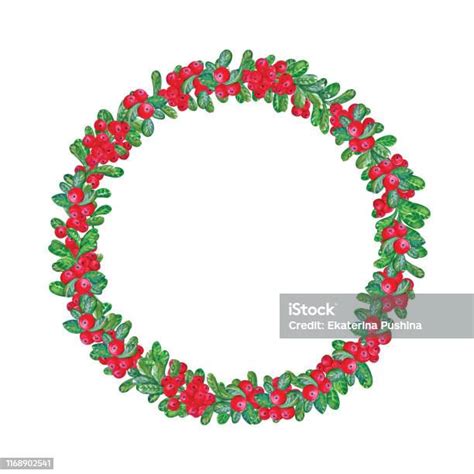 흰색 배경에 손으로 그려진 크랜베리 잔가지로 만든 우아한 둥근 화환 또는 원형 프레임 수채화로 칠했습니다 아름 다운 자연 장식