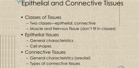 The Ultimate Anatomy Tissues Quiz Attempts Trivia Questions